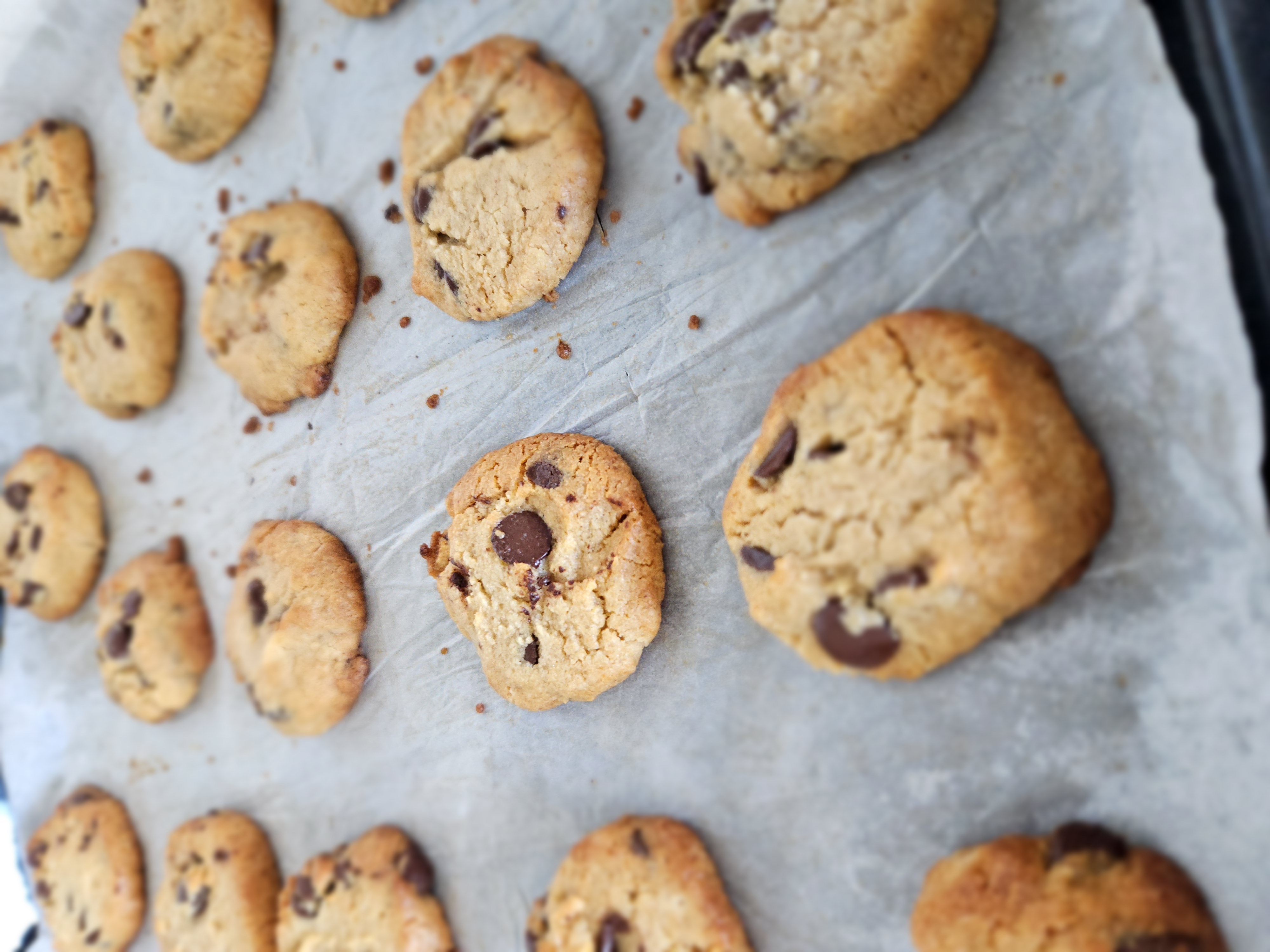 Chocolate Peanut Butter Cookies | Pita & Chocolat